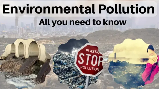Environmental Pollution Essay : All You Need To Know For Breaking The ...